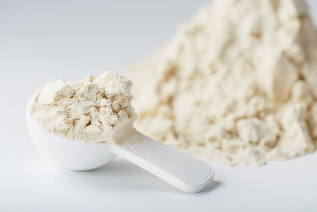 Can you Mix Casein and Whey Protein? | YesWellness.com