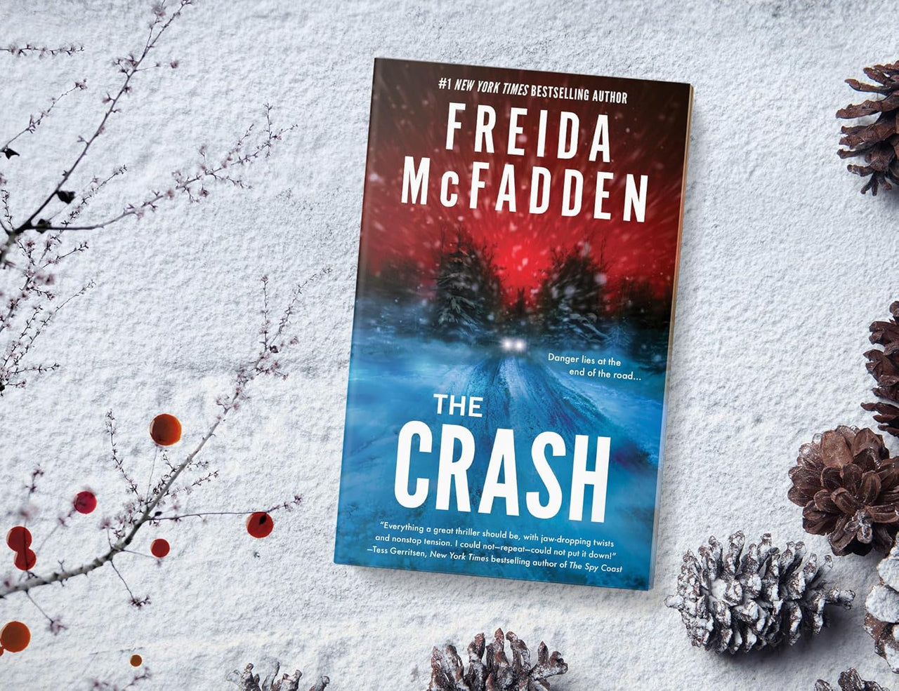 The Crash by Freida McFadden
